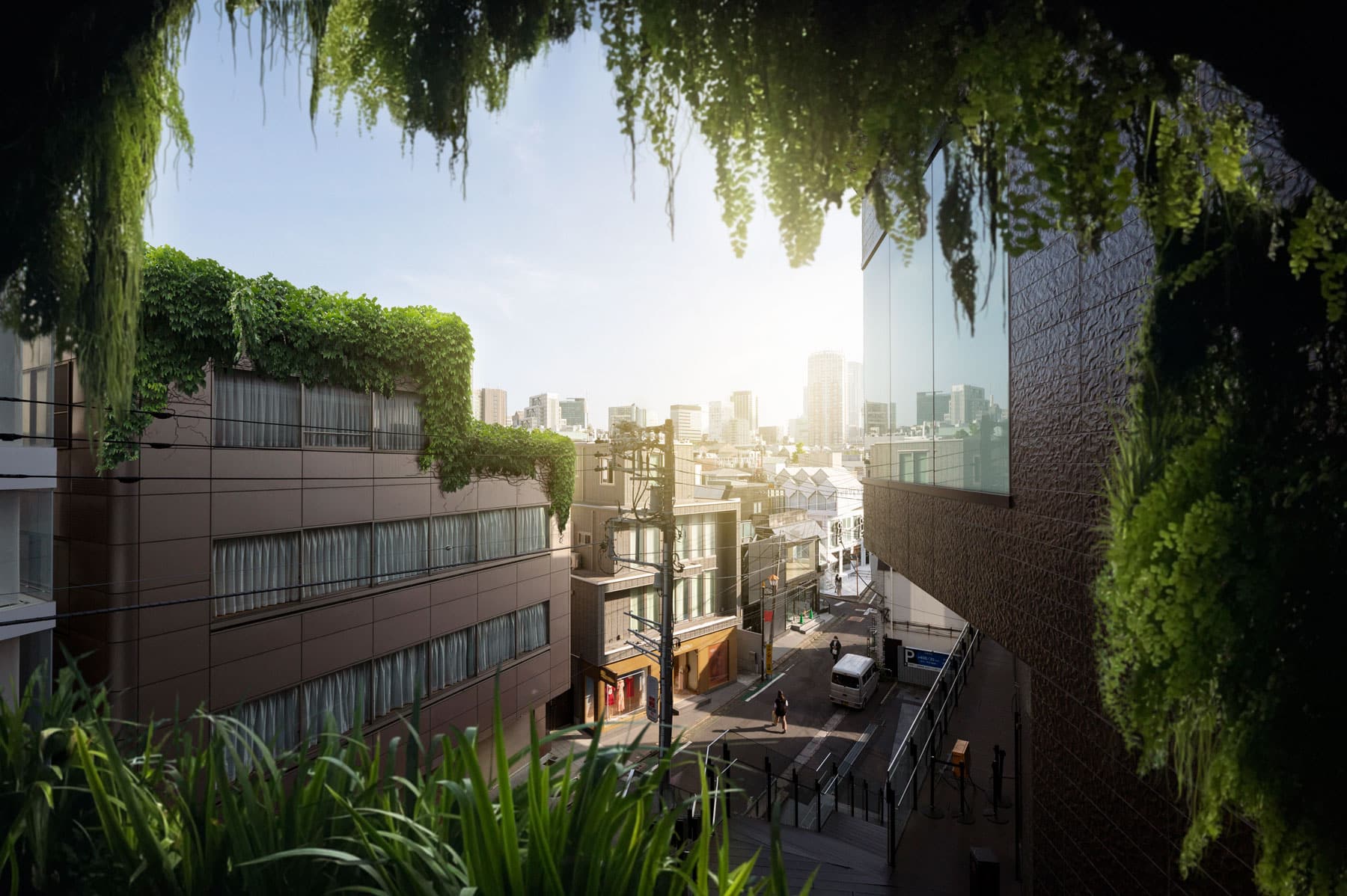 Refugios climáticos en la ciudad, Oasis Urbanos.